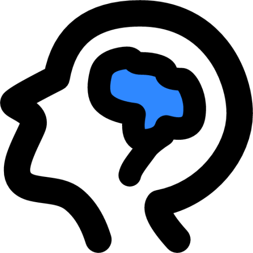 Brain and Machine Cognition Lab